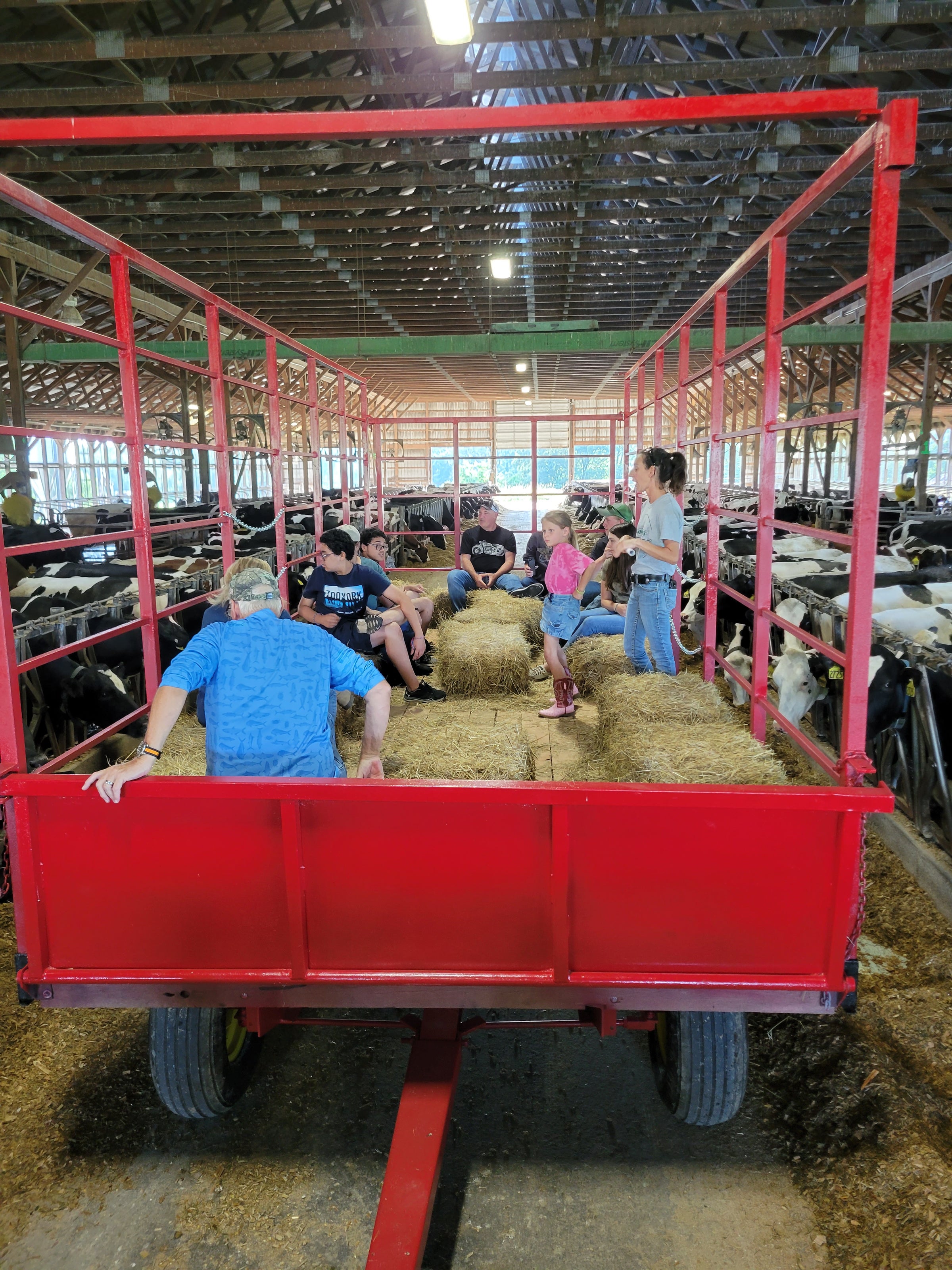 Take a tour of the farm | Fairholm Farm