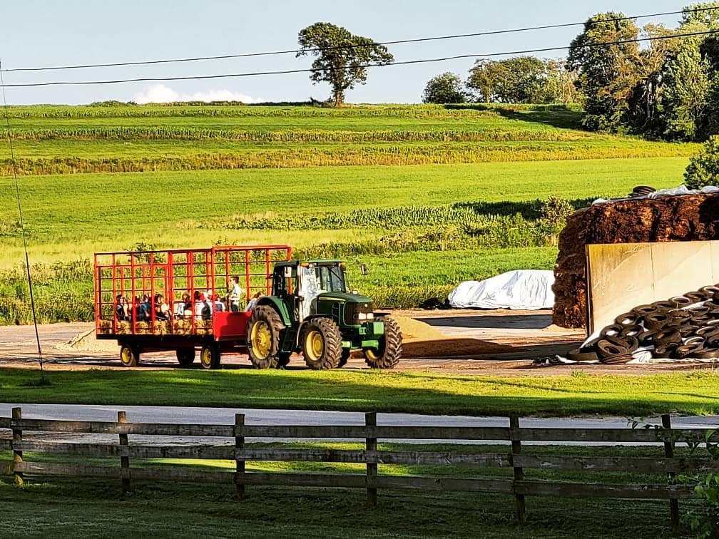 Take a tour of the farm | Fairholm Farm