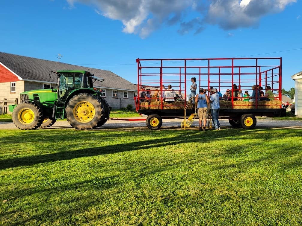 Take a tour of the farm | Fairholm Farm